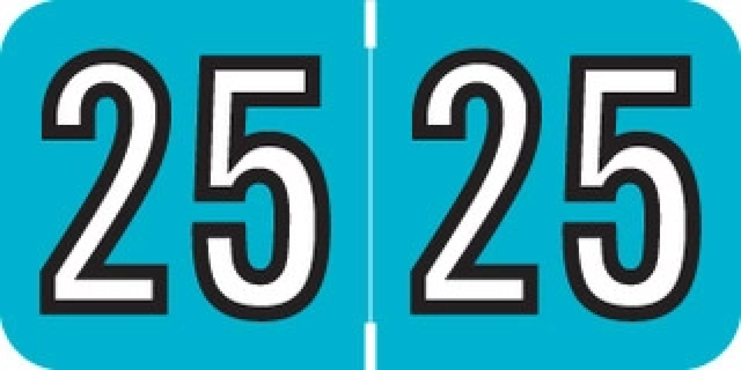 BKYM-25-T4 - 2025 Year Label - Barkley - 3/4" x 1-1/2" - TEAL/Black ...